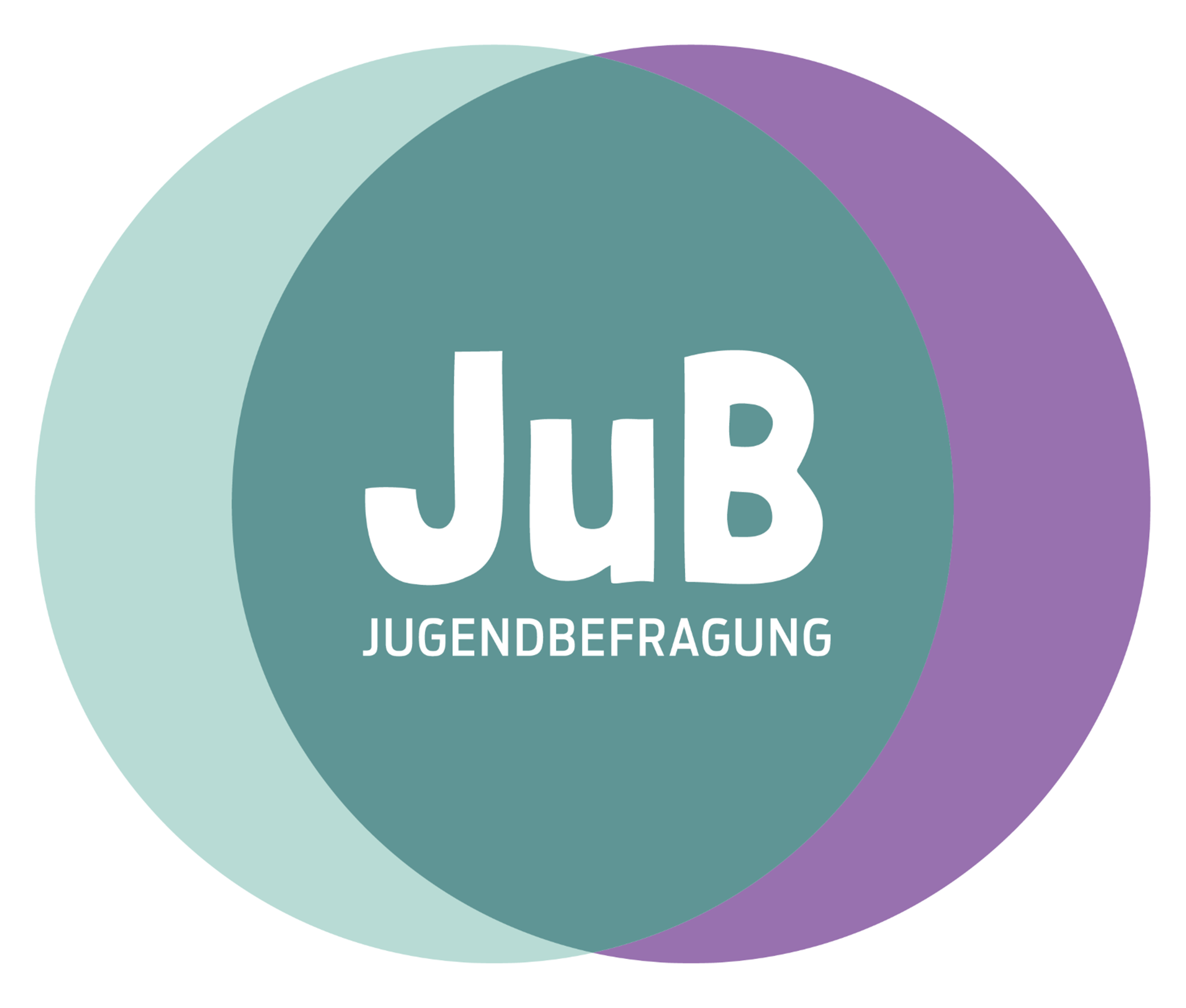 Jub-Region-Hannover – Jugendbefragung in der Region Hannover